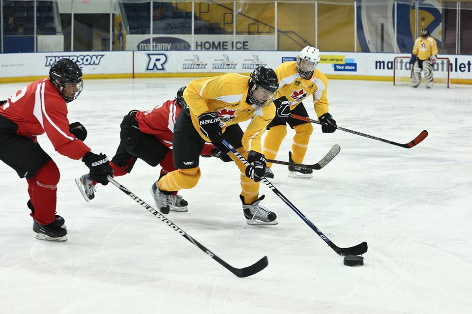 Le hockey sonore: futur sport paralympique? - Canal M, la voix de l ...